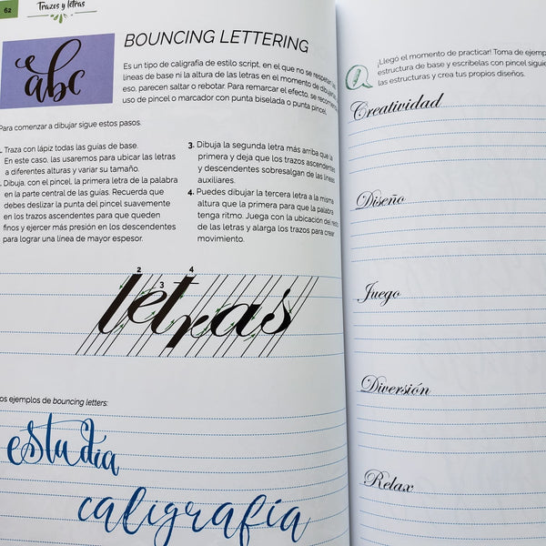 LIBRO LETTERING - PASO A PASO – Felpecta Store