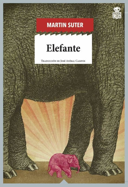 LIBRO ELEFANTE de Martin Suter – Felpecta Store